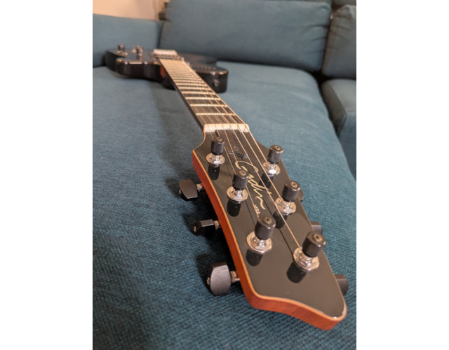 Godin XTSA Leaftop Trans Black de segunda mano por 1500 € en Girona