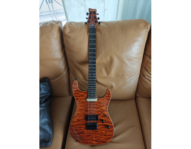Framus Manhattan Custom Shop de segunda mano por 6000 € en Lleida ...