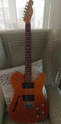 Squier telecaster thinline master series HH de segunda mano por 480 ...