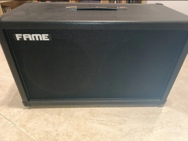 Pantalla Fame Ecoline GN212 con 2 altavoces de 12 " de segunda mano por ...