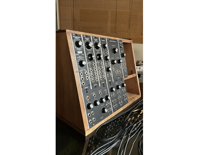 Moog modular SYNTH-WERK de segunda mano por 2100 € en Alicante | Hispasonic