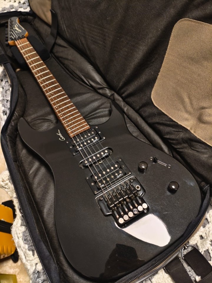 Cambio: Godin Freeway FR en Sevilla