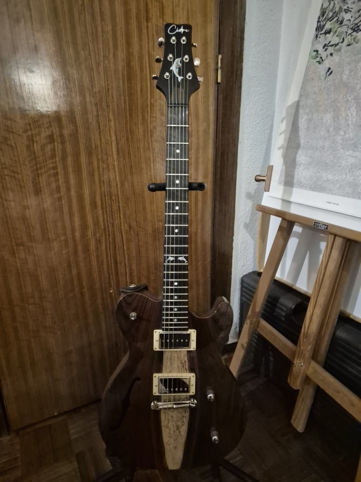 Guitarra Cidre Arroaz II de segunda mano por 2550 € en Madrid ...