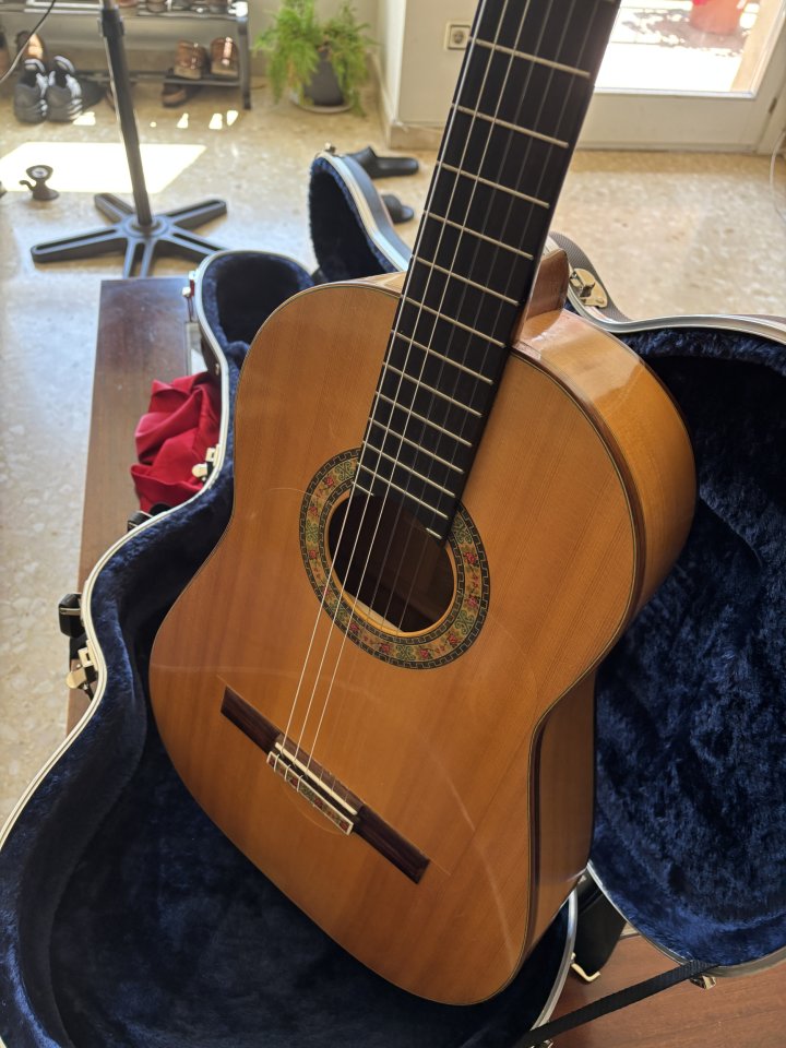 Guitarra Flamenca Ciprés Macizo Gambero 2017 de segunda mano por 1799 ...
